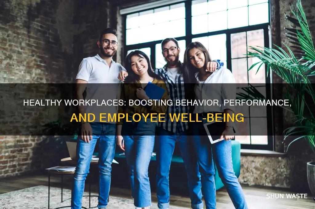 Healthy Workplaces: Boosting Behavior, Performance, And Employee Well ...