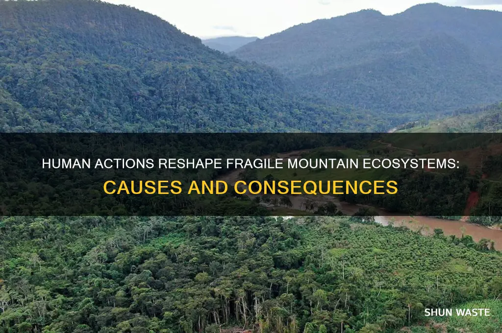 Human Actions Reshape Fragile Mountain Ecosystems: Causes And ...