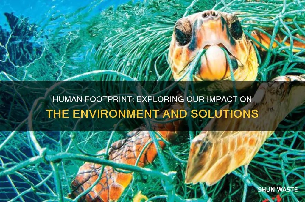 Human Footprint: Exploring Our Impact On The Environment And Solutions ...