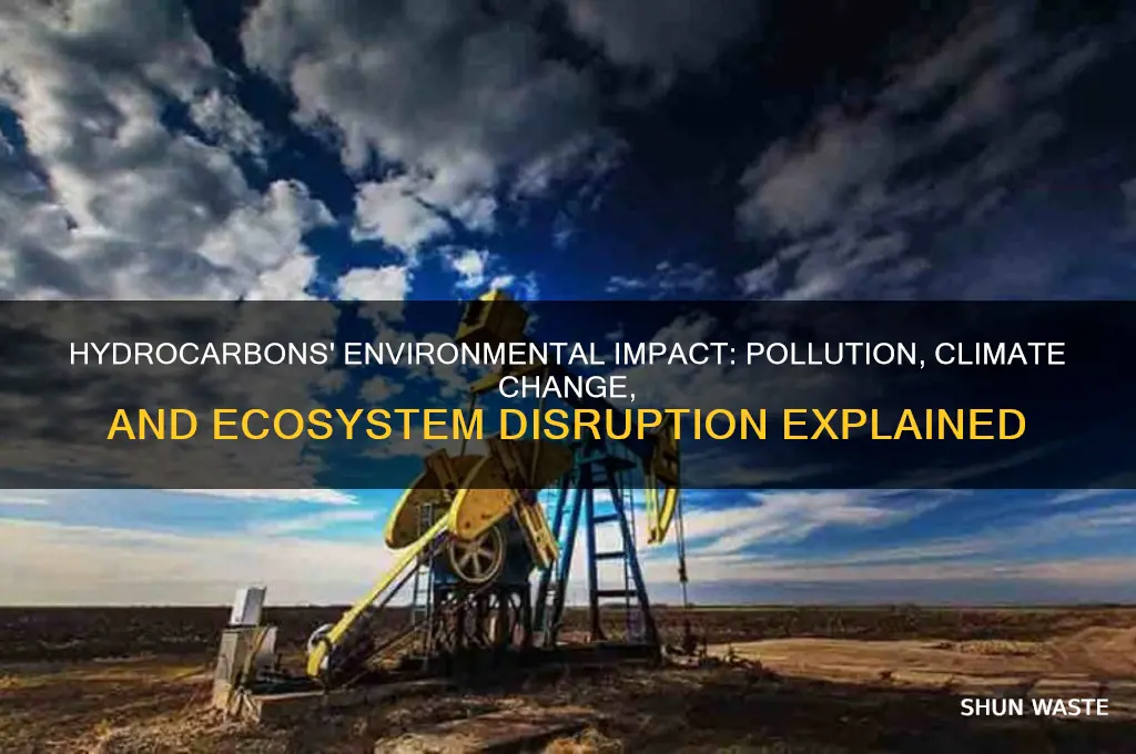 Hydrocarbons' Environmental Impact: Pollution, Climate Change, And ...