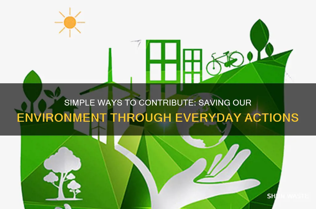 Simple Ways To Contribute: Saving Our Environment Through Everyday ...