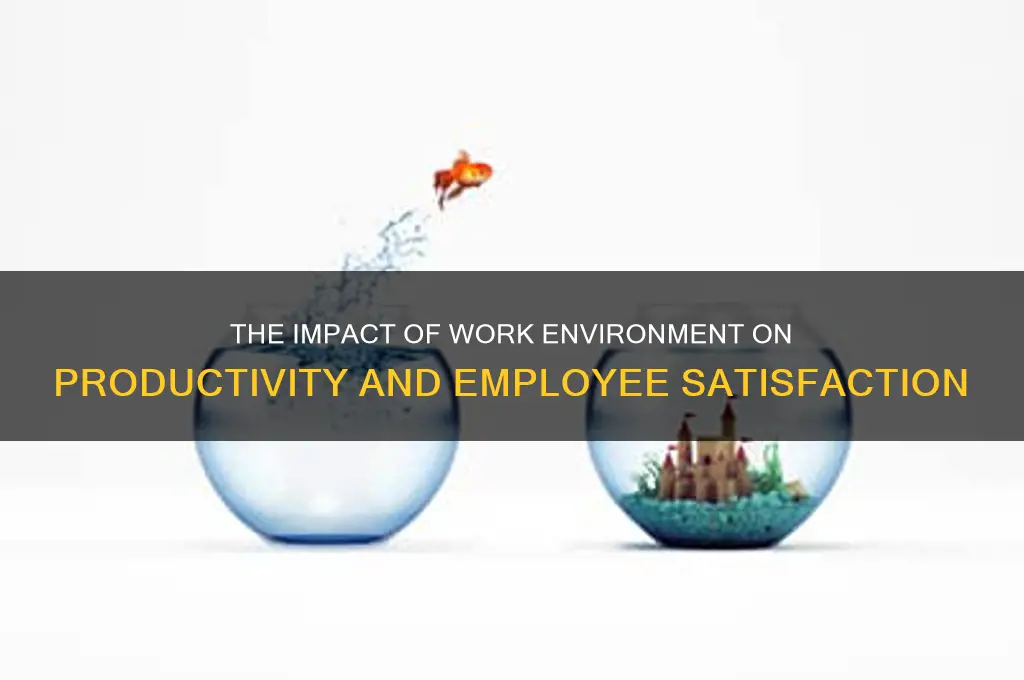 The Impact Of Work Environment On Productivity And Employee ...