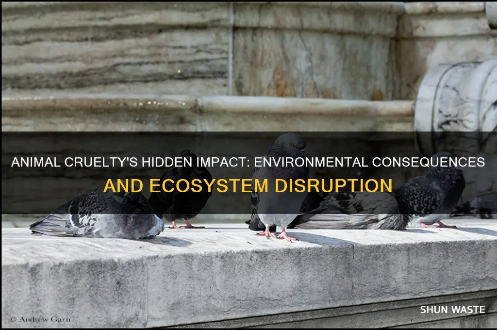 Animal Cruelty's Hidden Impact: Environmental Consequences And ...