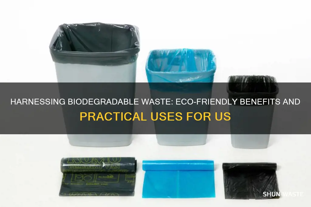 Harnessing Biodegradable Waste: Eco-Friendly Benefits And Practical ...