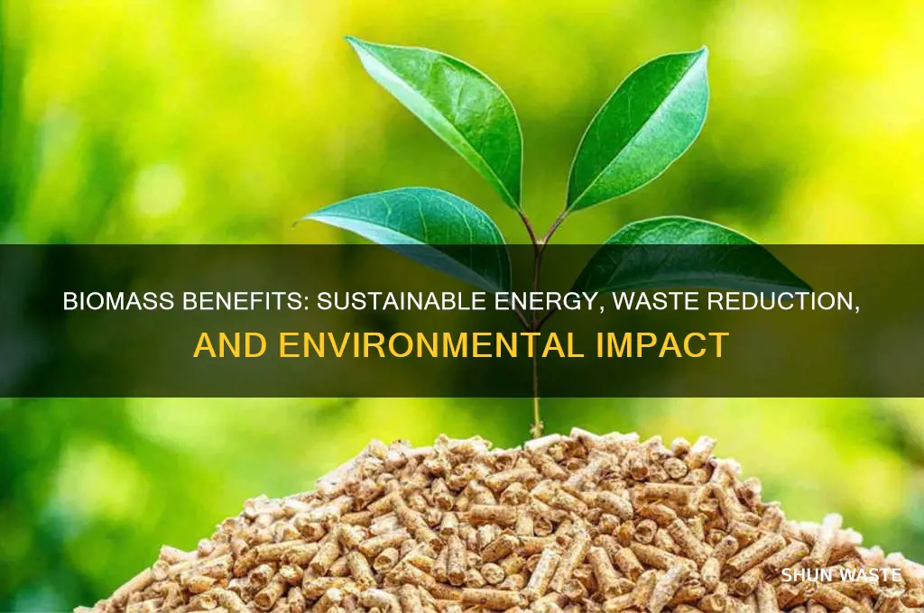Biomass Benefits: Sustainable Energy, Waste Reduction, And ...