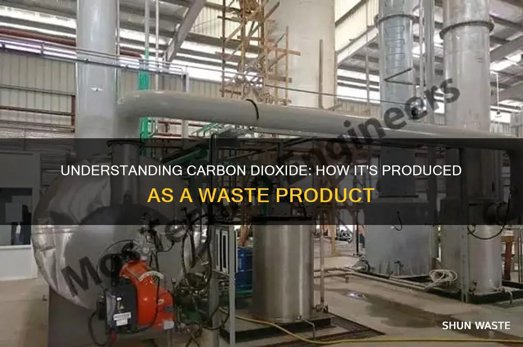 Understanding Carbon Dioxide: How It's Produced As A Waste Product ...