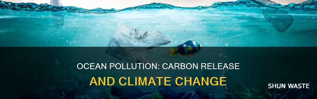 Ocean Pollution: Carbon Release And Climate Change | ShunWaste