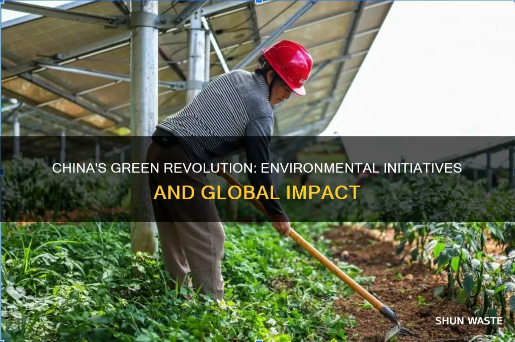 China's Green Revolution: Environmental Initiatives And Global Impact ...