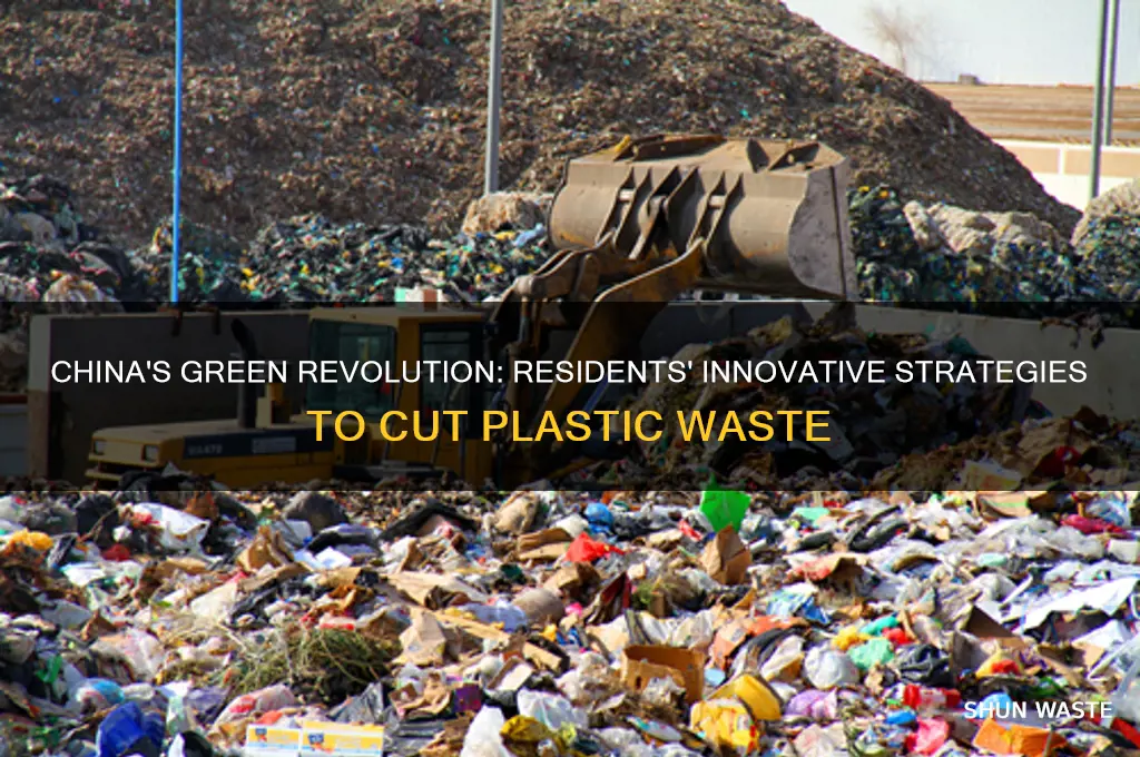 China's Green Revolution: Residents' Innovative Strategies To Cut ...
