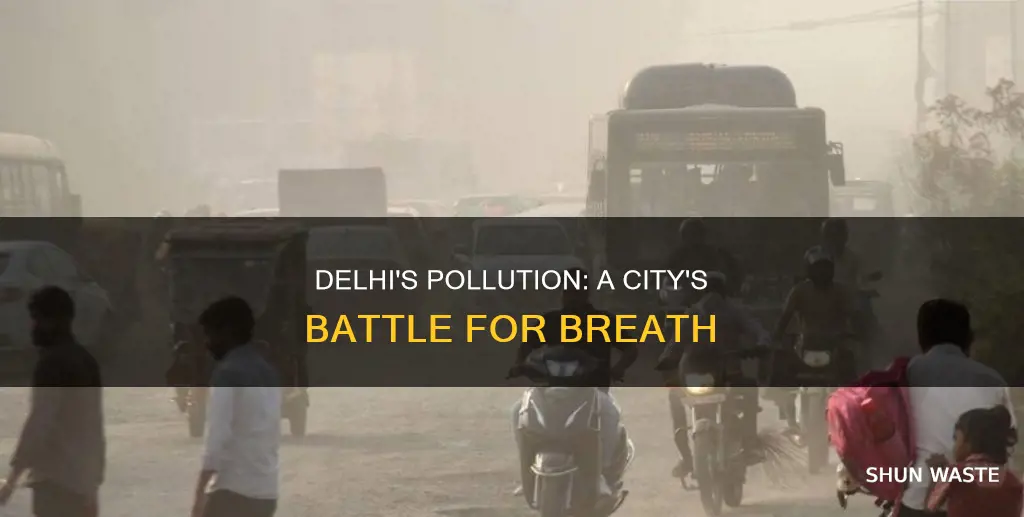 Delhi's Pollution: A City's Battle For Breath | ShunWaste