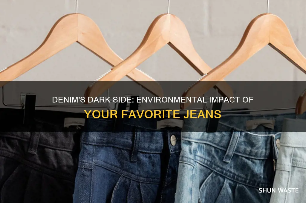 Denim's Dark Side: Environmental Impact Of Your Favorite Jeans | ShunWaste