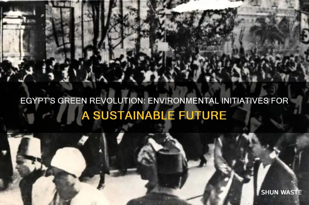 Egypt's Green Revolution: Environmental Initiatives For A Sustainable ...