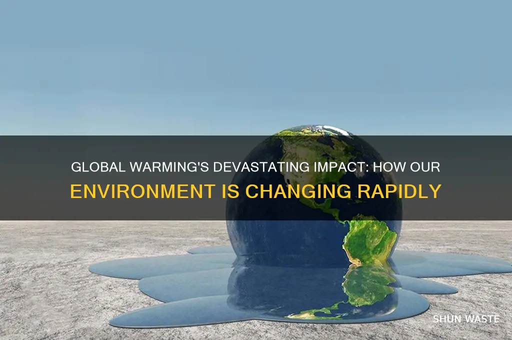 Global Warming's Devastating Impact: How Our Environment Is Changing ...