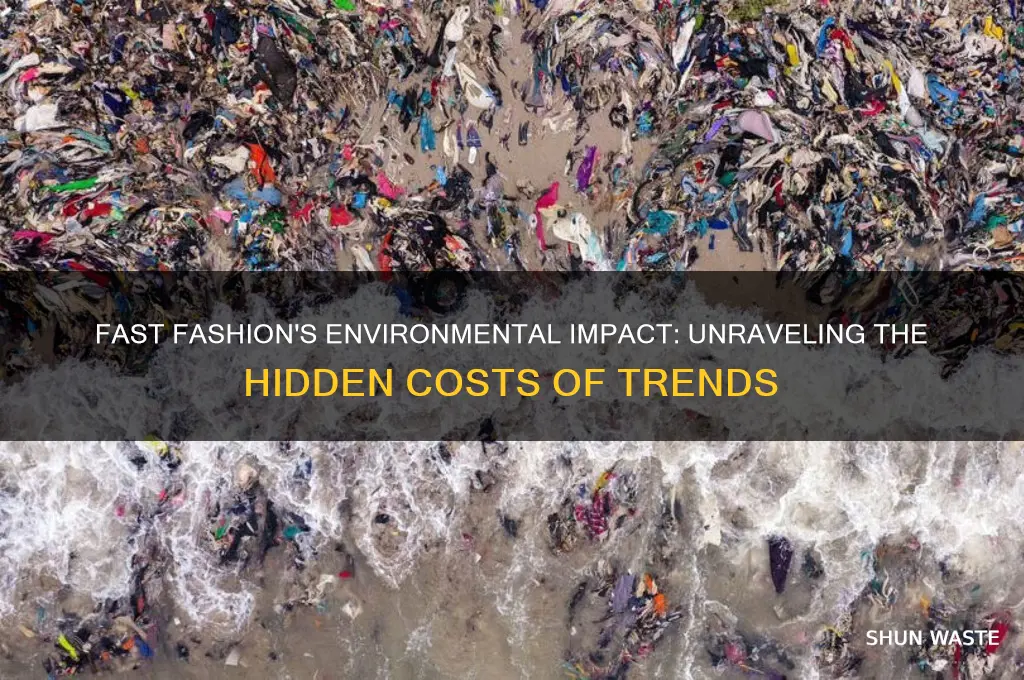 Fast Fashion's Environmental Impact: Unraveling The Hidden Costs Of ...