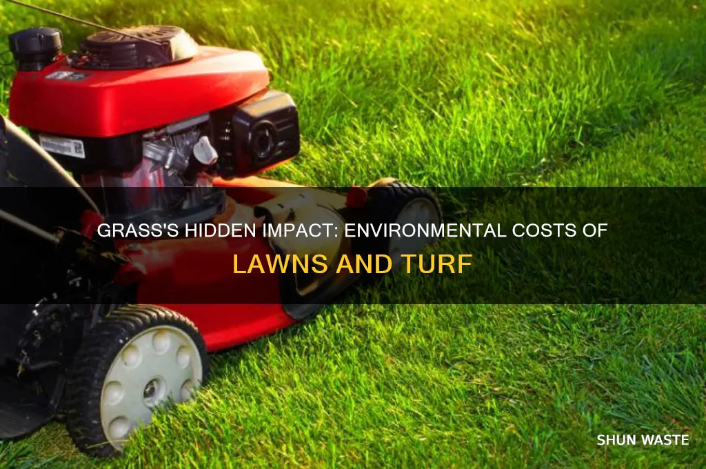 Grass's Hidden Impact: Environmental Costs Of Lawns And Turf | ShunWaste