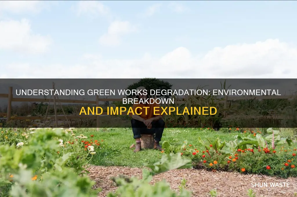 Understanding Green Works Degradation: Environmental Breakdown And ...
