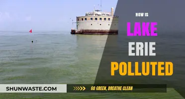 Land Pollution: Causes And Impacts | ShunWaste
