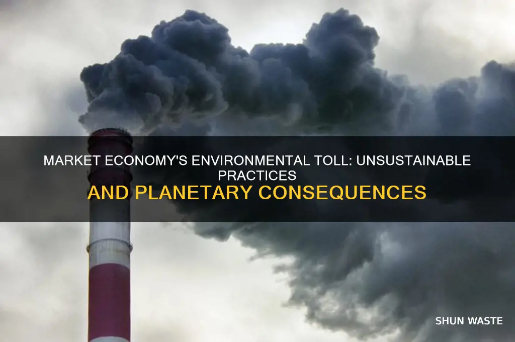 Market Economy's Environmental Toll: Unsustainable Practices And ...