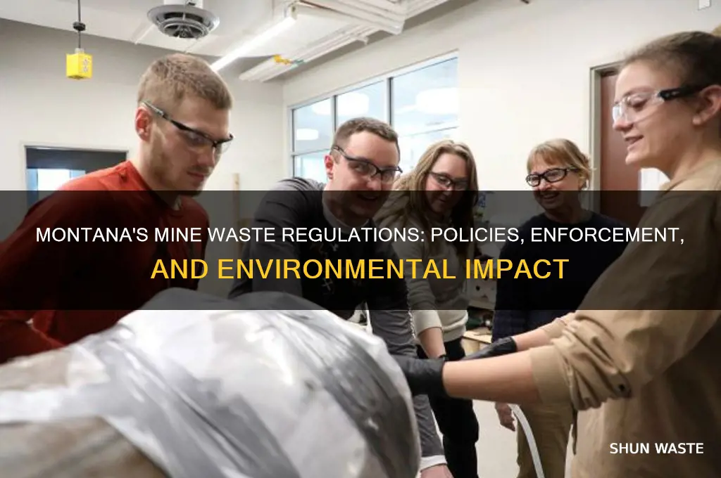 Montana's Mine Waste Regulations: Policies, Enforcement, And ...