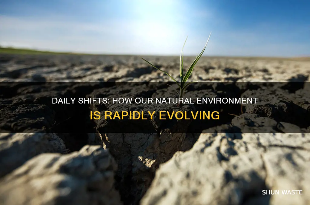 Daily Shifts: How Our Natural Environment Is Rapidly Evolving | ShunWaste