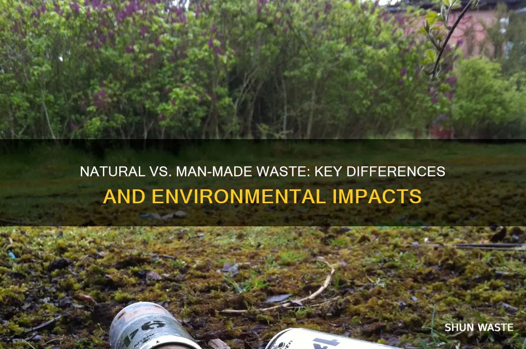 Natural Vs. Man-Made Waste: Key Differences And Environmental Impacts ...