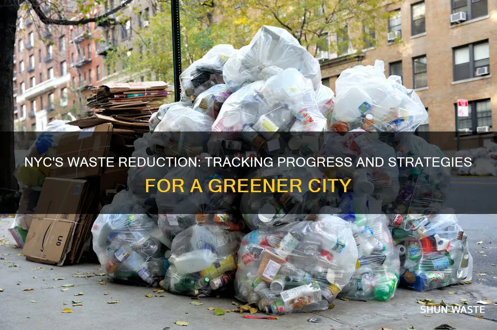Nyc's Waste Reduction: Tracking Progress And Strategies For A Greener ...