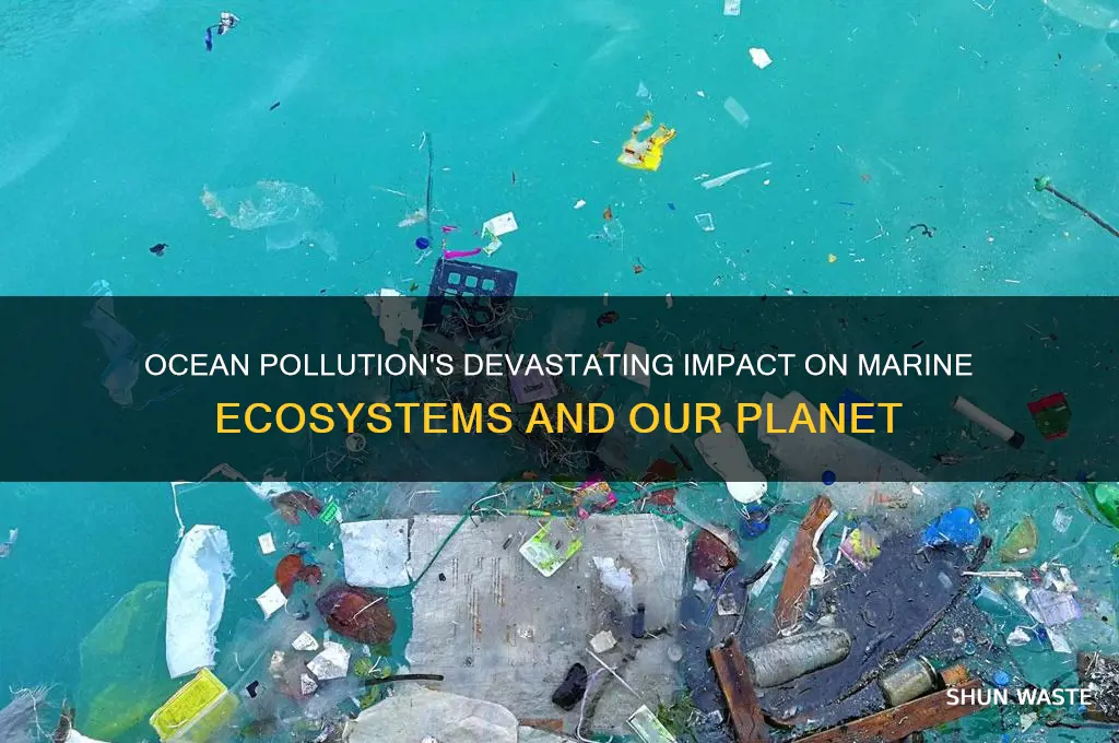 Ocean Pollution's Devastating Impact On Marine Ecosystems And Our ...