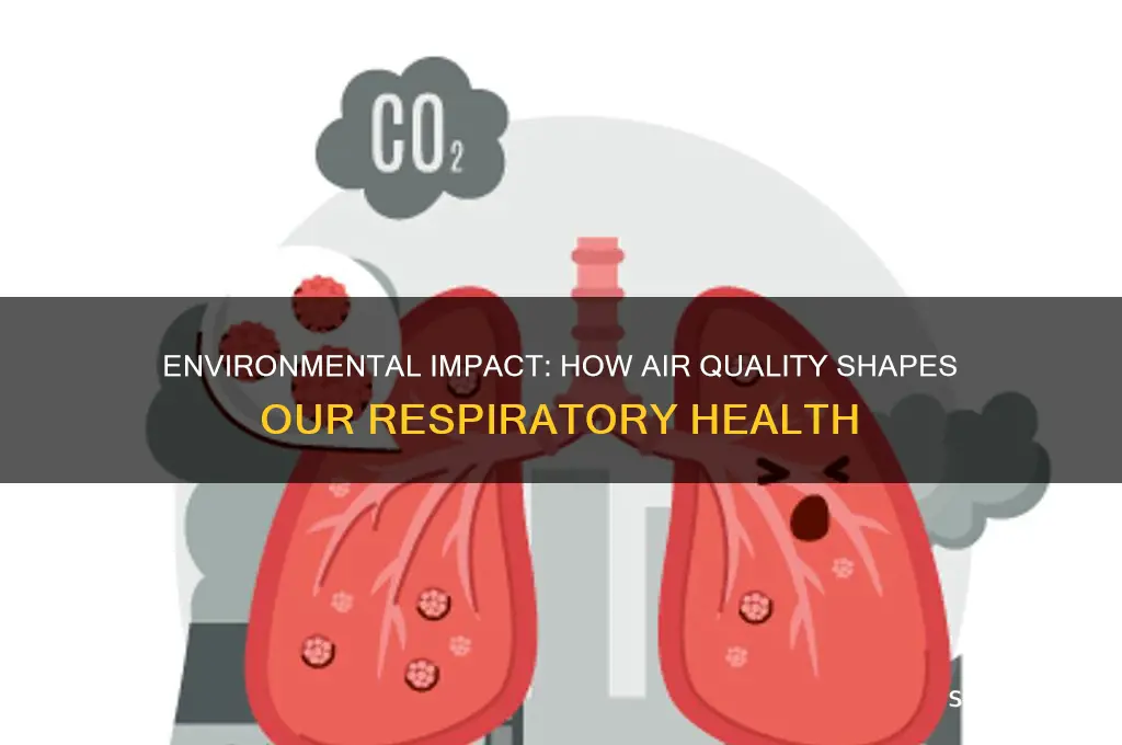 Environmental Impact: How Air Quality Shapes Our Respiratory Health ...