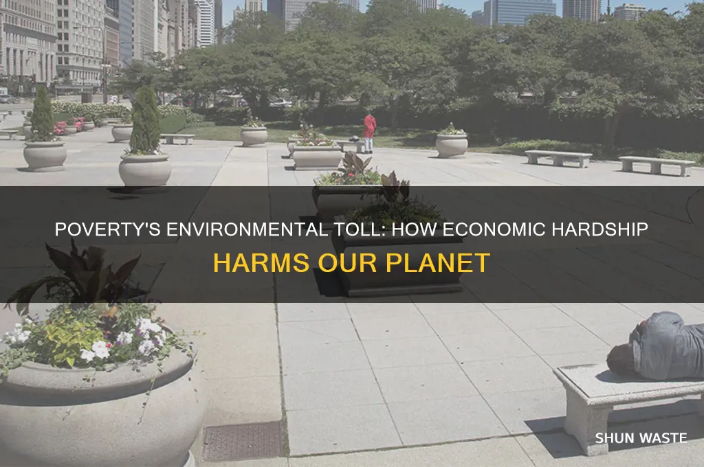 Poverty's Environmental Toll: How Economic Hardship Harms Our Planet ...