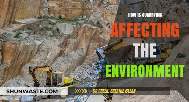 Shein's Environmental Impact: Fast Fashion's Hidden Costs And ...
