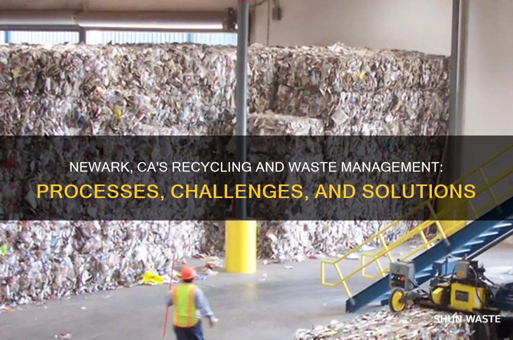 Newark, Ca's Recycling And Waste Management: Processes, Challenges, And ...