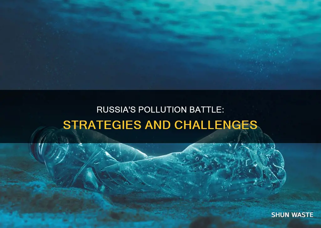 Russia's Pollution Battle: Strategies And Challenges | ShunWaste