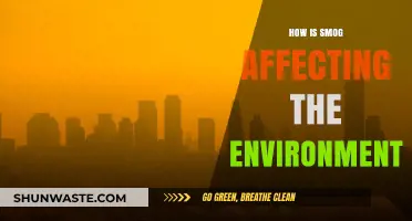 Shein's Environmental Impact: Fast Fashion's Hidden Costs And ...