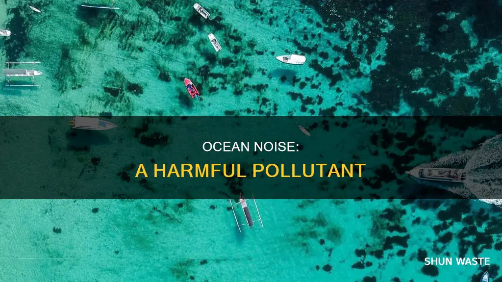 Ocean Noise: A Harmful Pollutant | ShunWaste