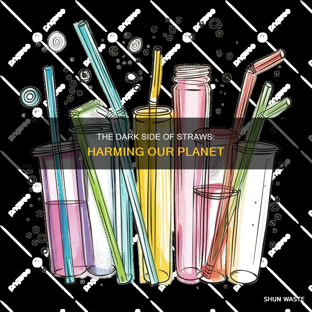 The Dark Side Of Straws: Harming Our Planet | ShunWaste