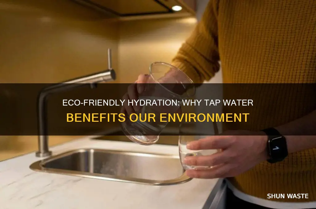 Eco-Friendly Hydration: Why Tap Water Benefits Our Environment | ShunWaste