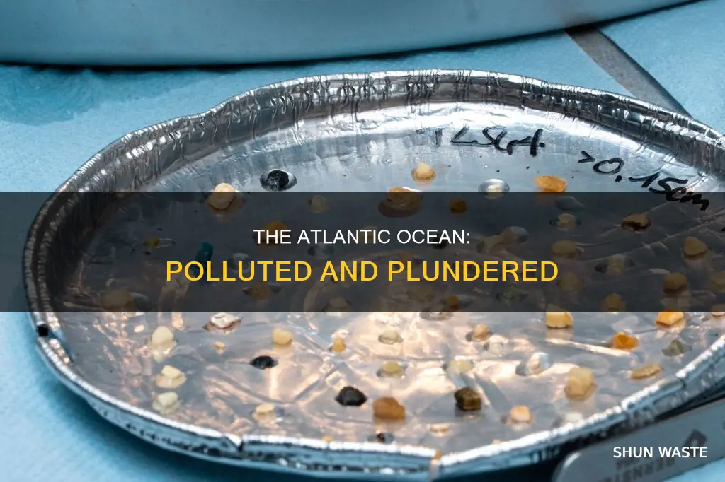 The Atlantic Ocean: Polluted And Plundered | ShunWaste