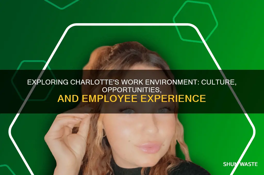 Exploring Charlotte's Work Environment: Culture, Opportunities, And ...