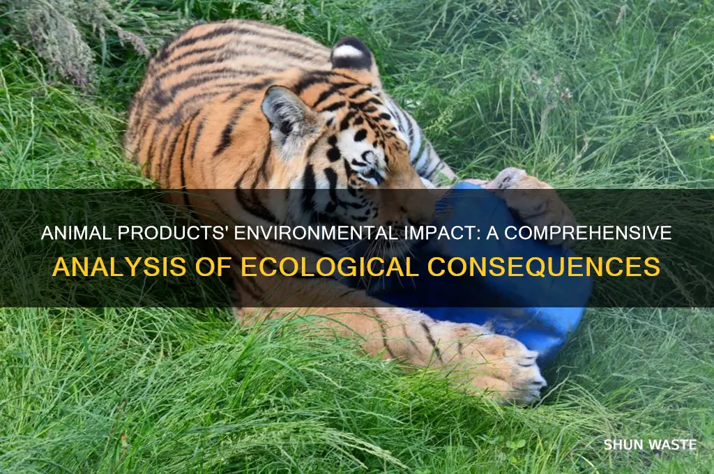 Animal Products' Environmental Impact: A Comprehensive Analysis Of ...