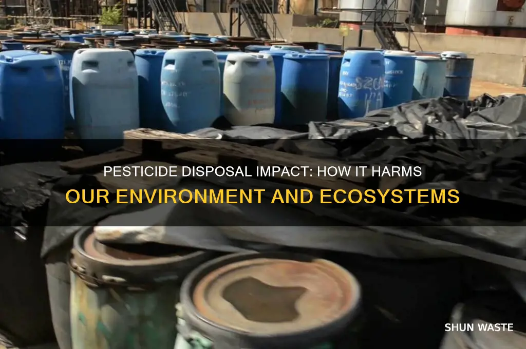 Pesticide Disposal Impact: How It Harms Our Environment And Ecosystems ...