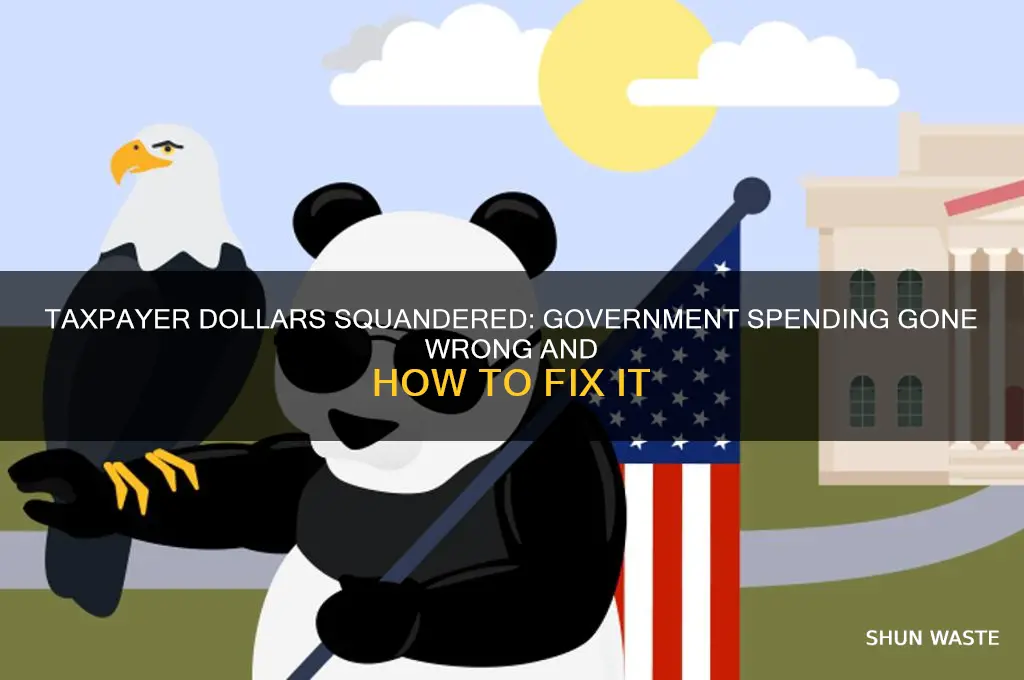 Taxpayer Dollars Squandered: Government Spending Gone Wrong And How To ...