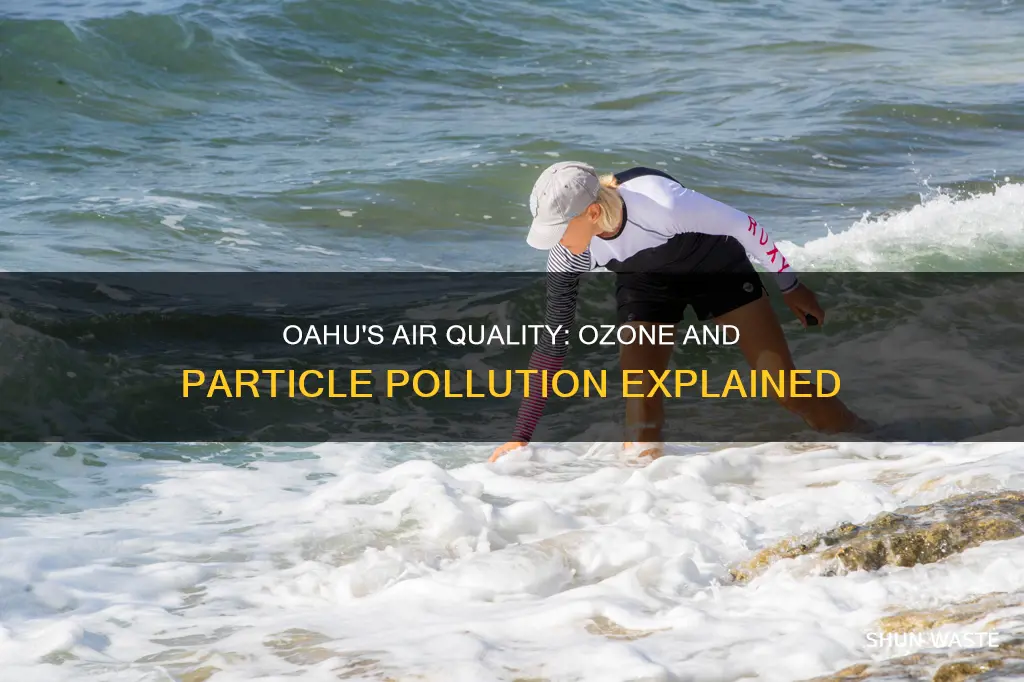 Oahu's Air Quality: Ozone And Particle Pollution Explained | ShunWaste