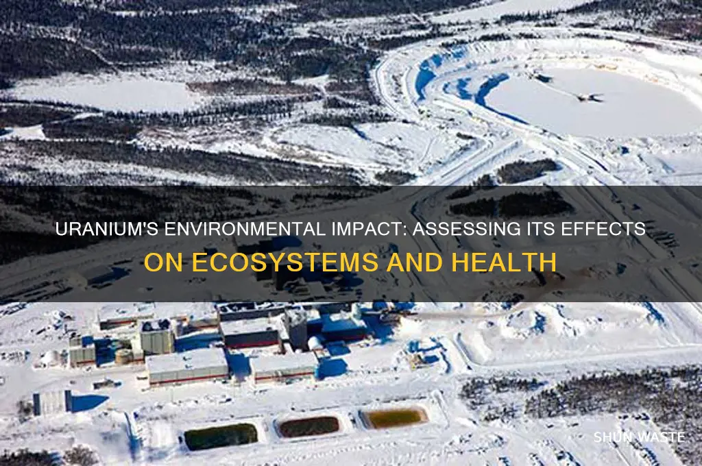 Uranium's Environmental Impact: Assessing Its Effects On Ecosystems And ...