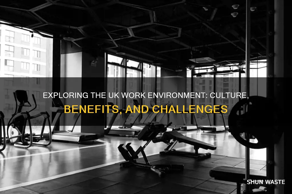 Exploring The Uk Work Environment: Culture, Benefits, And Challenges ...