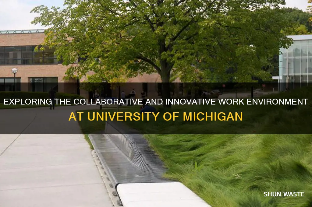 Exploring The Collaborative And Innovative Work Environment At ...
