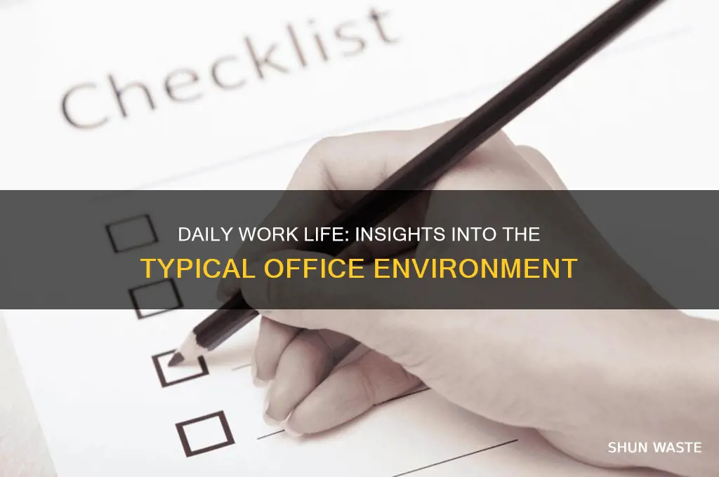 Daily Work Life: Insights Into The Typical Office Environment | ShunWaste