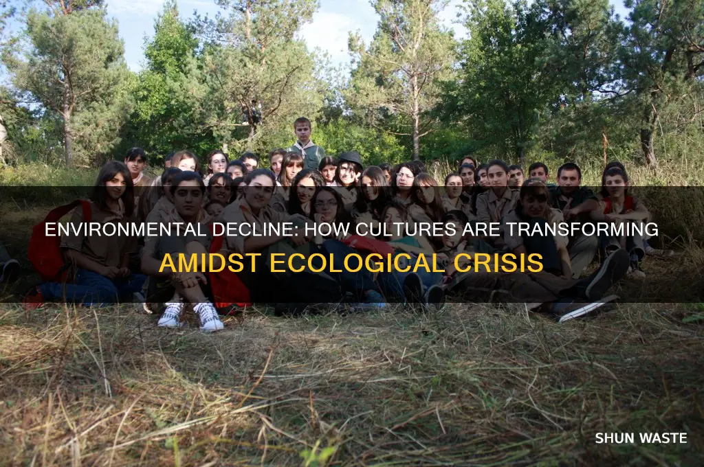 Environmental Decline: How Cultures Are Transforming Amidst Ecological ...