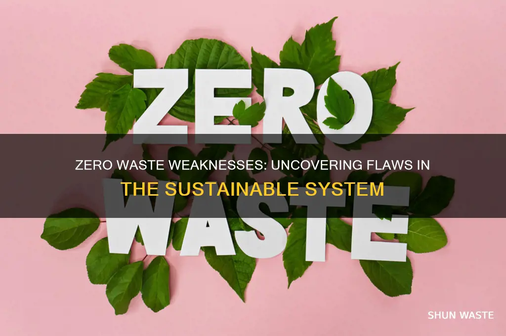 Zero Waste Weaknesses: Uncovering Flaws In The Sustainable System ...