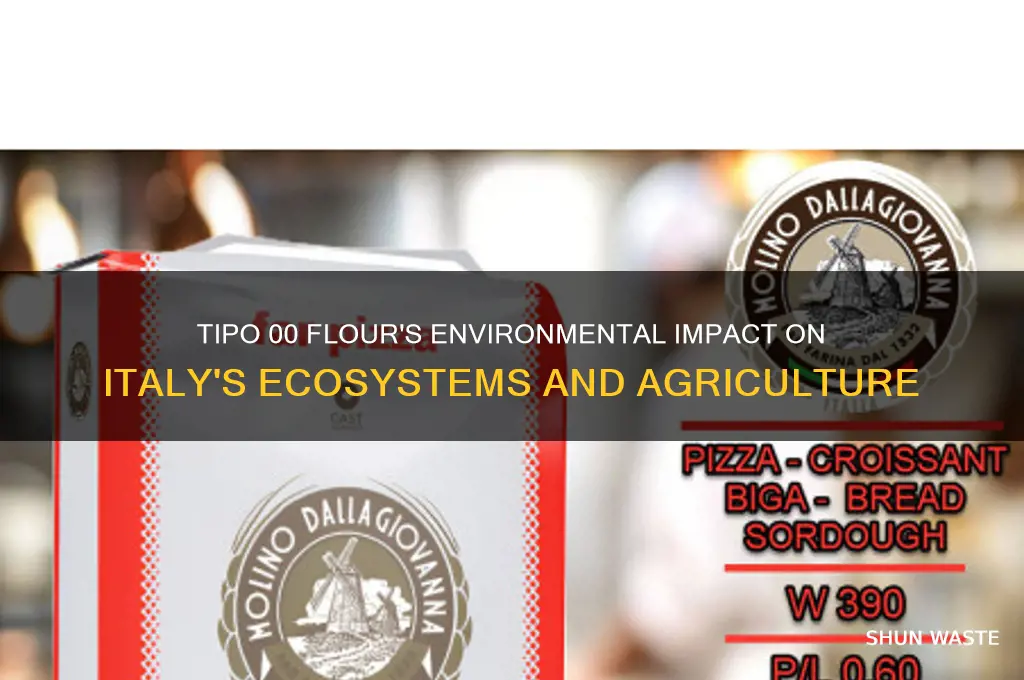 Tipo 00 Flour's Environmental Impact On Italy's Ecosystems And ...