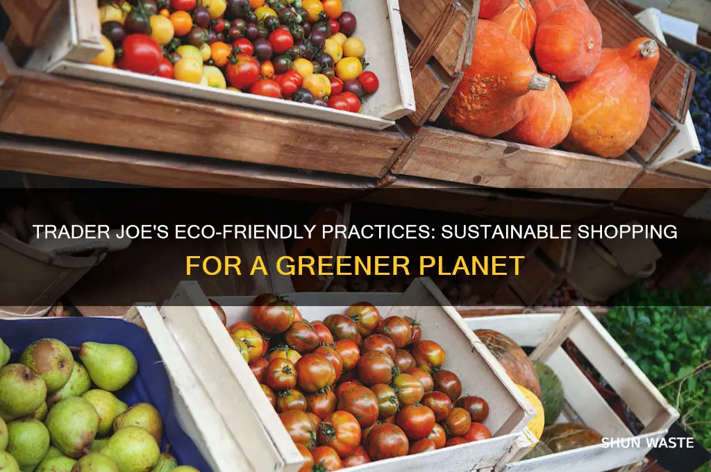 Trader Joe's Eco-Friendly Practices: Sustainable Shopping For A Greener ...